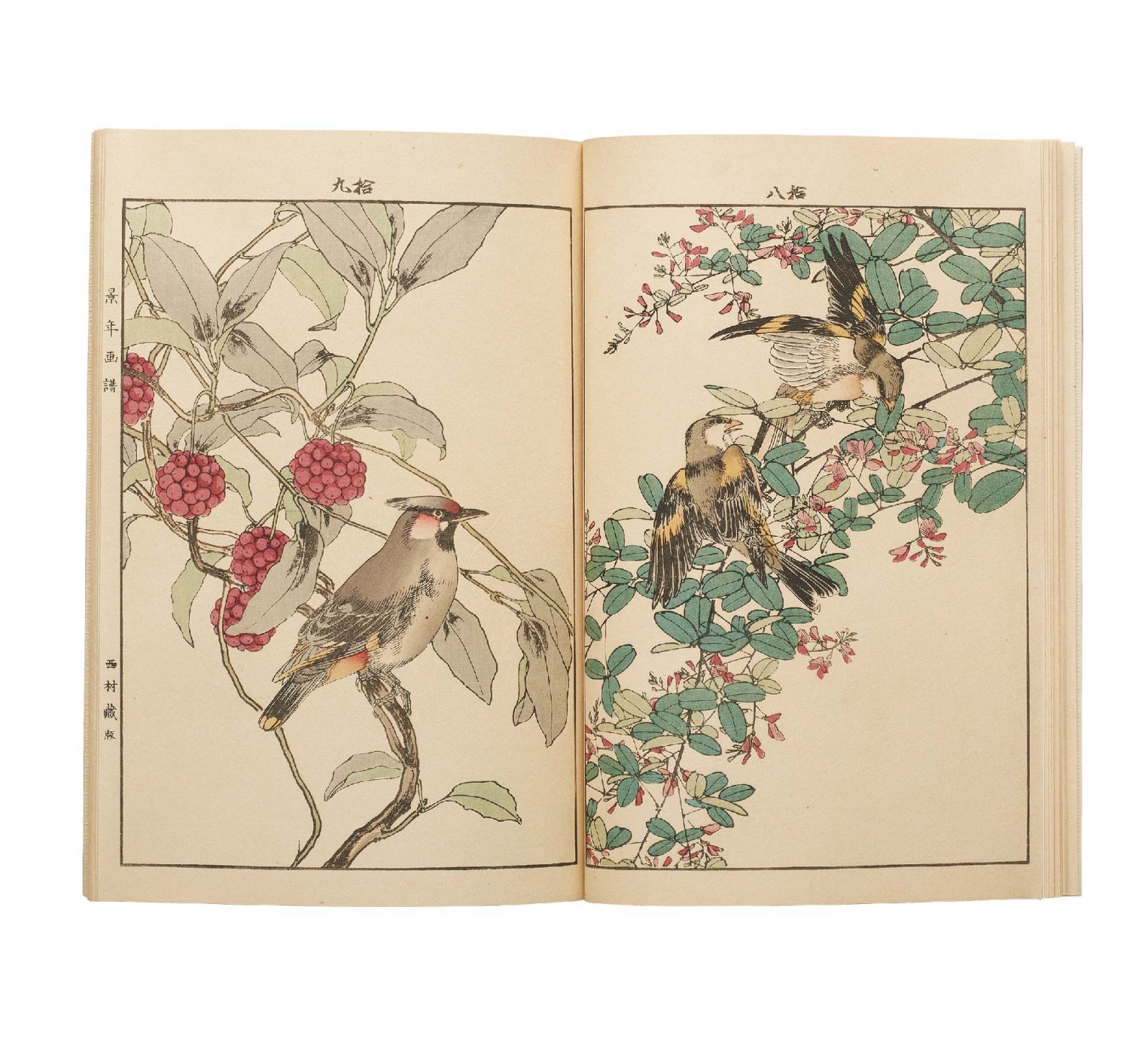 CHISO GALLERY | A moment with flowers and birds - 千總 (English)